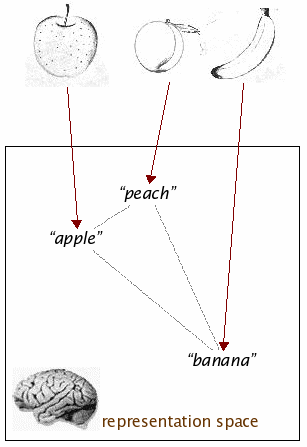 Computational Psychology — Unit 7
