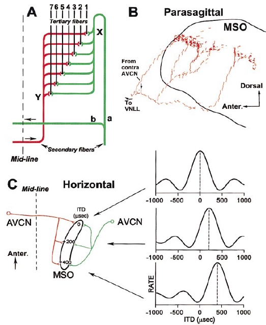Computational Psychology — Unit 3
