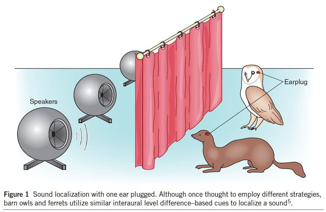 Computational Psychology — Unit 3